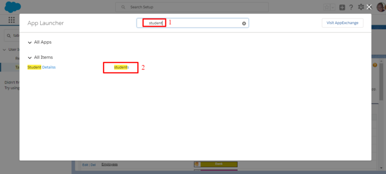 How To Create A Custom Object In Salesforce Dckap