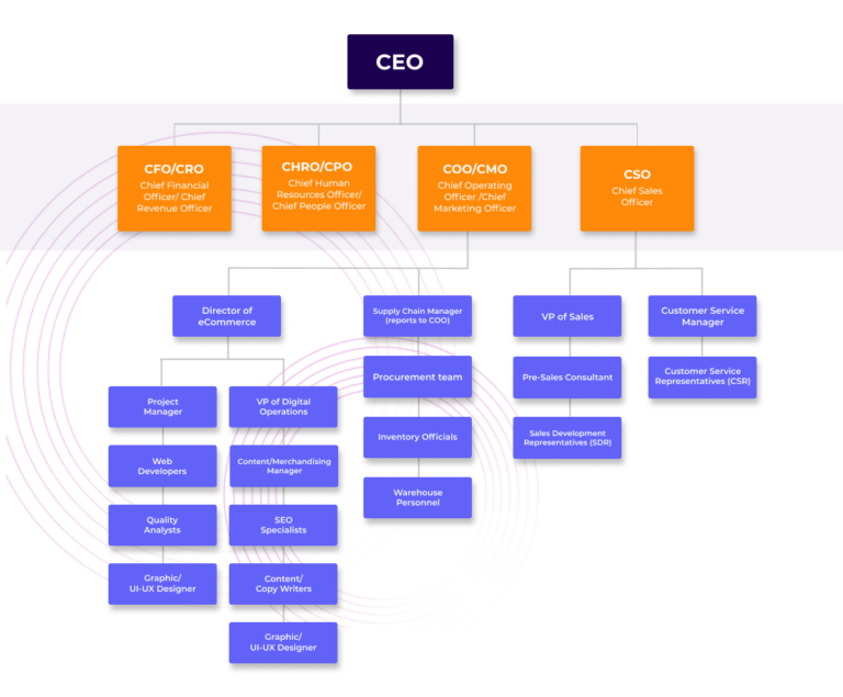 16 Essential Roles in eCommerce That Are Here to Stay - DCKAP